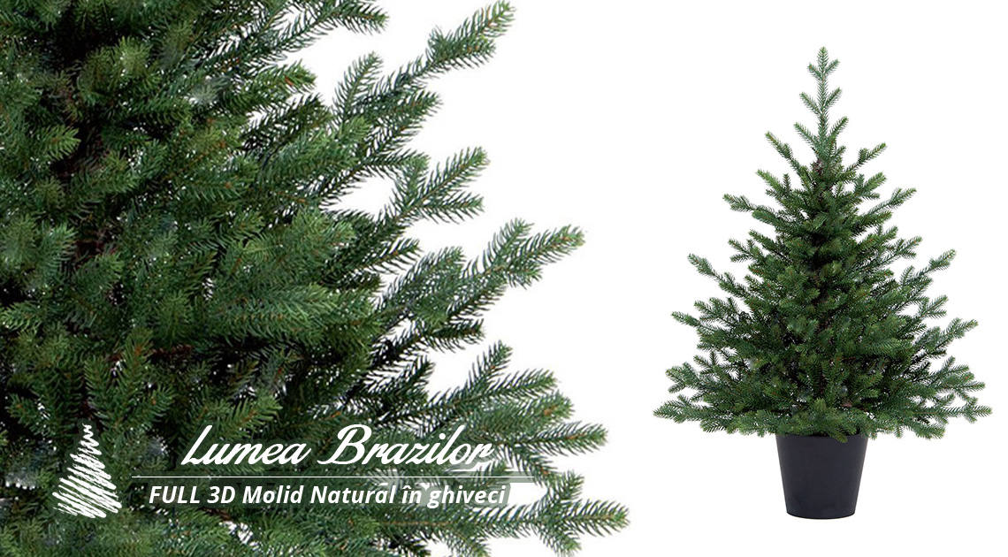Brad în ghiveci FULL 3D Molid Natural 100cm | Lumea Brazilor